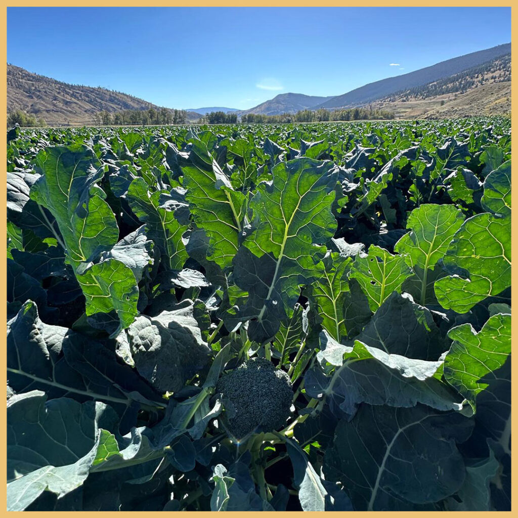 Monette Produce - Monette Farms Together we Create More